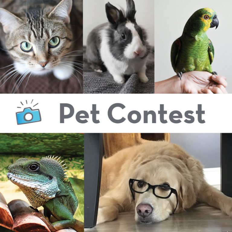 Contests Winners Westmount Orthodontist Montreal Contests Winners Westmount Orthodontist Montreal